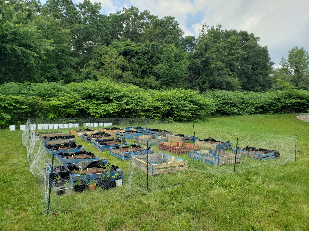 Community garden at Long Hill Bible Church – Waterbury Mutual Aid